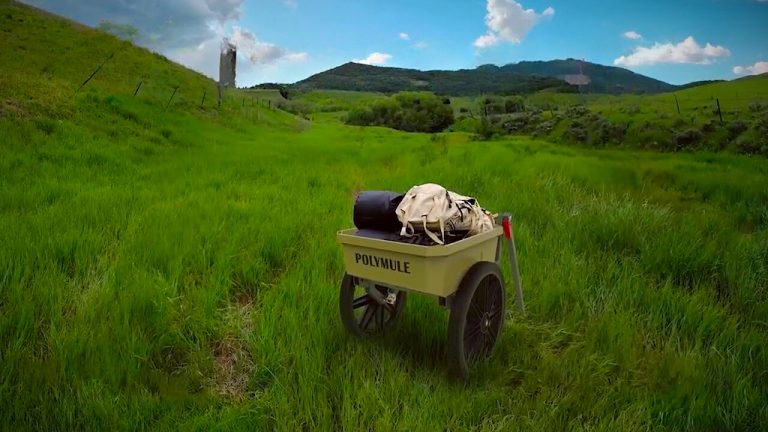 The Warrior by Polymule: Your Indomitable Companion for Unparalleled ...