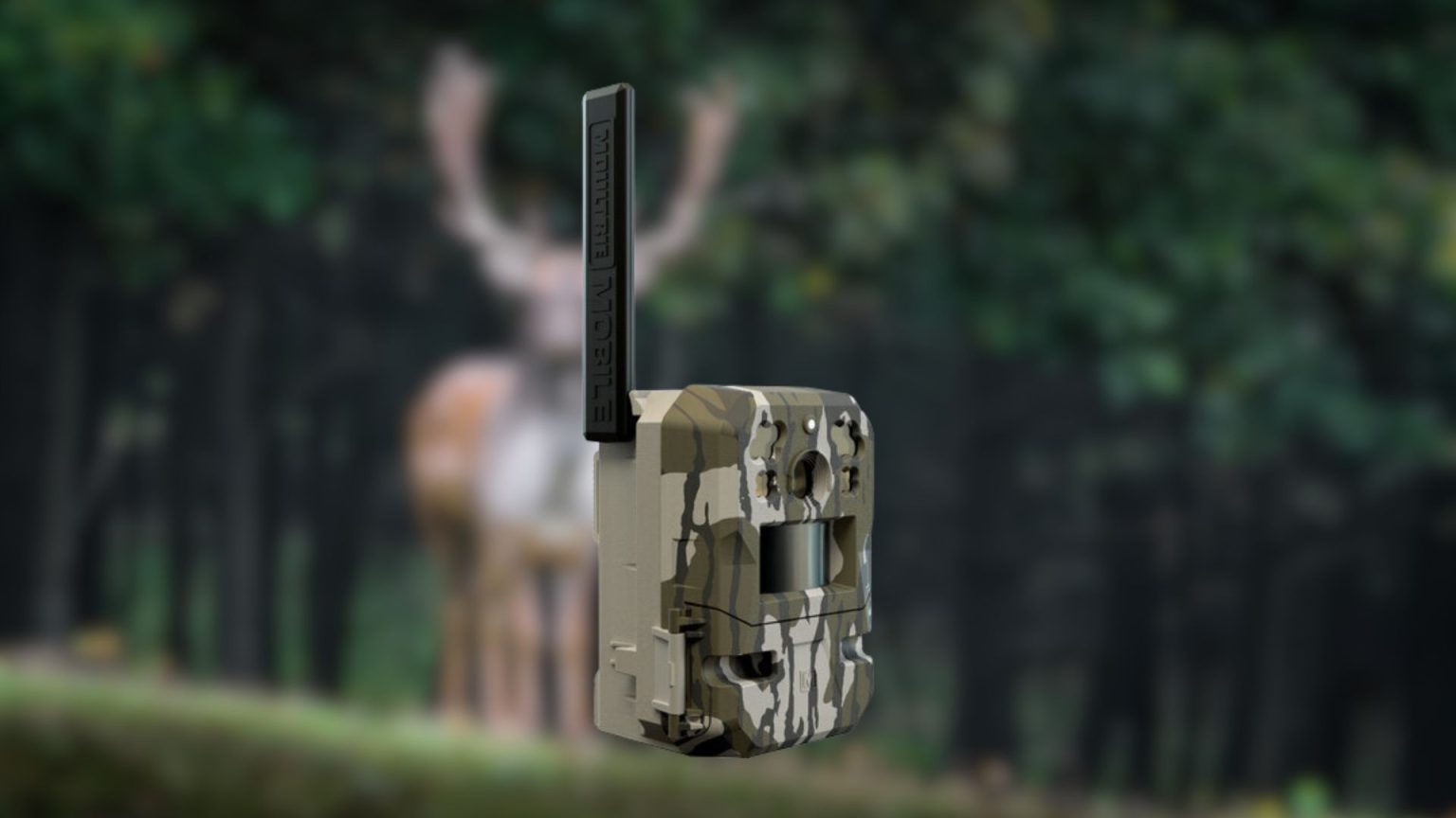 Moultrie Edge Pro Cellular Trail Camera: Nature’s Eye for the Modern ...