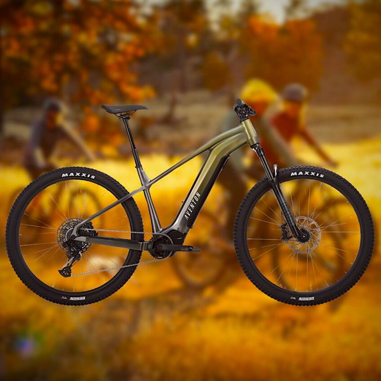 The Universal Bike - One Size Fits All - GrumpyFoot